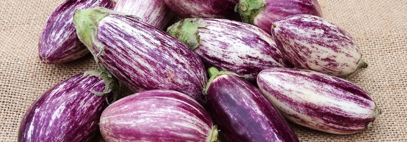Nightshade Allergy | Natural Allergy Treatment